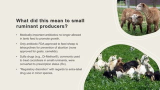 Beyond antibiotics: minimizing drug use in small ruminants | PPT
