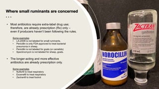 Beyond antibiotics: minimizing drug use in small ruminants | PPT