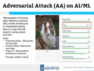 Applicability issues of Evasion-Based Adversarial Attacks and ...