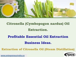 Citronella (Cymbopogon nardus) Oil Extraction | PPTX