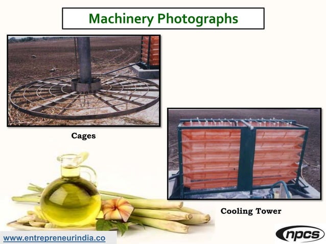 Citronella (Cymbopogon nardus) Oil Extraction | PPT