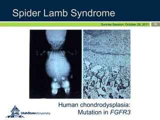 Ss cockett 3 %5_bam edits%5d | PPTX