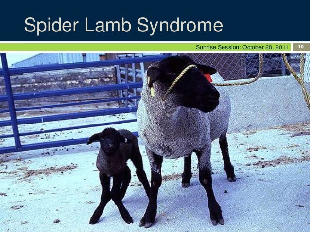 Ss cockett 3 %5_bam edits%5d