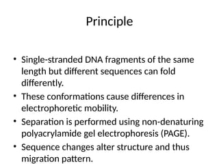 SSCP_Presentationn_MSc_Biotechnology (1).pptx