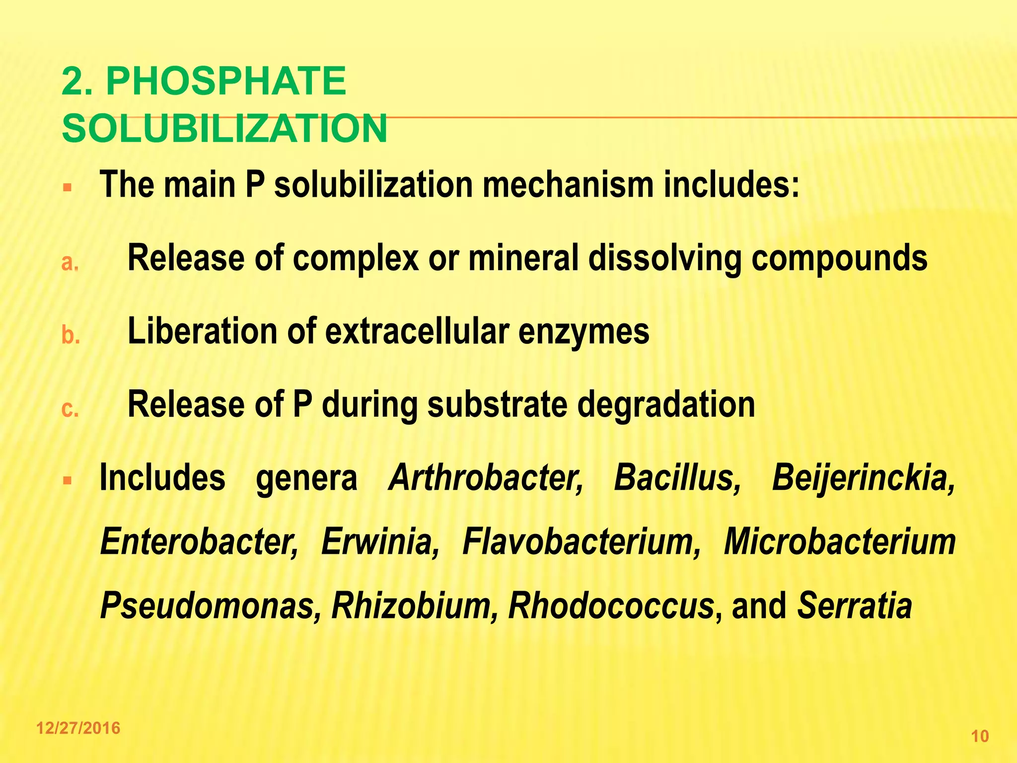 PGPR & its importance in agriculture | PPTX