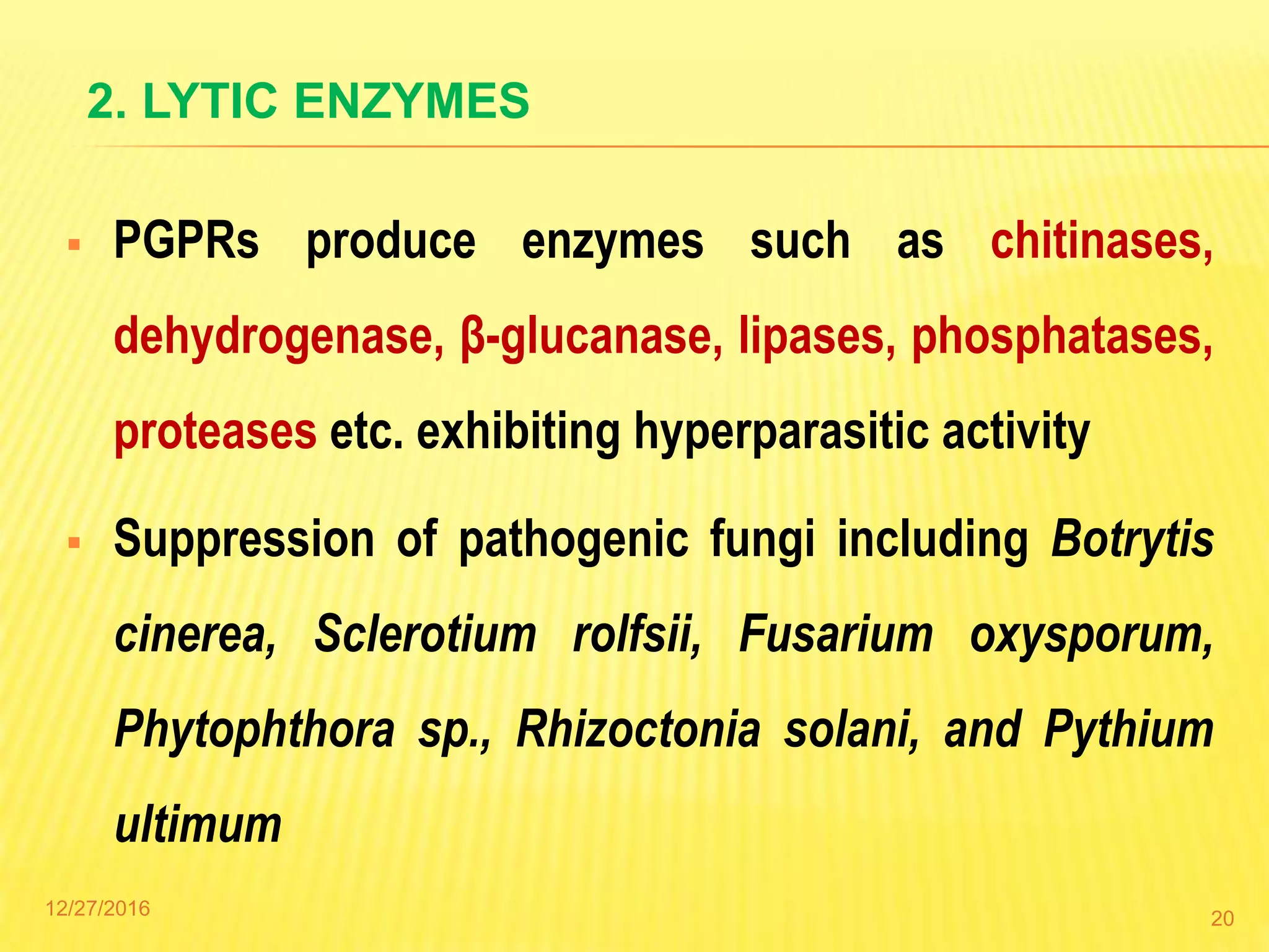 PGPR & its importance in agriculture | PPTX