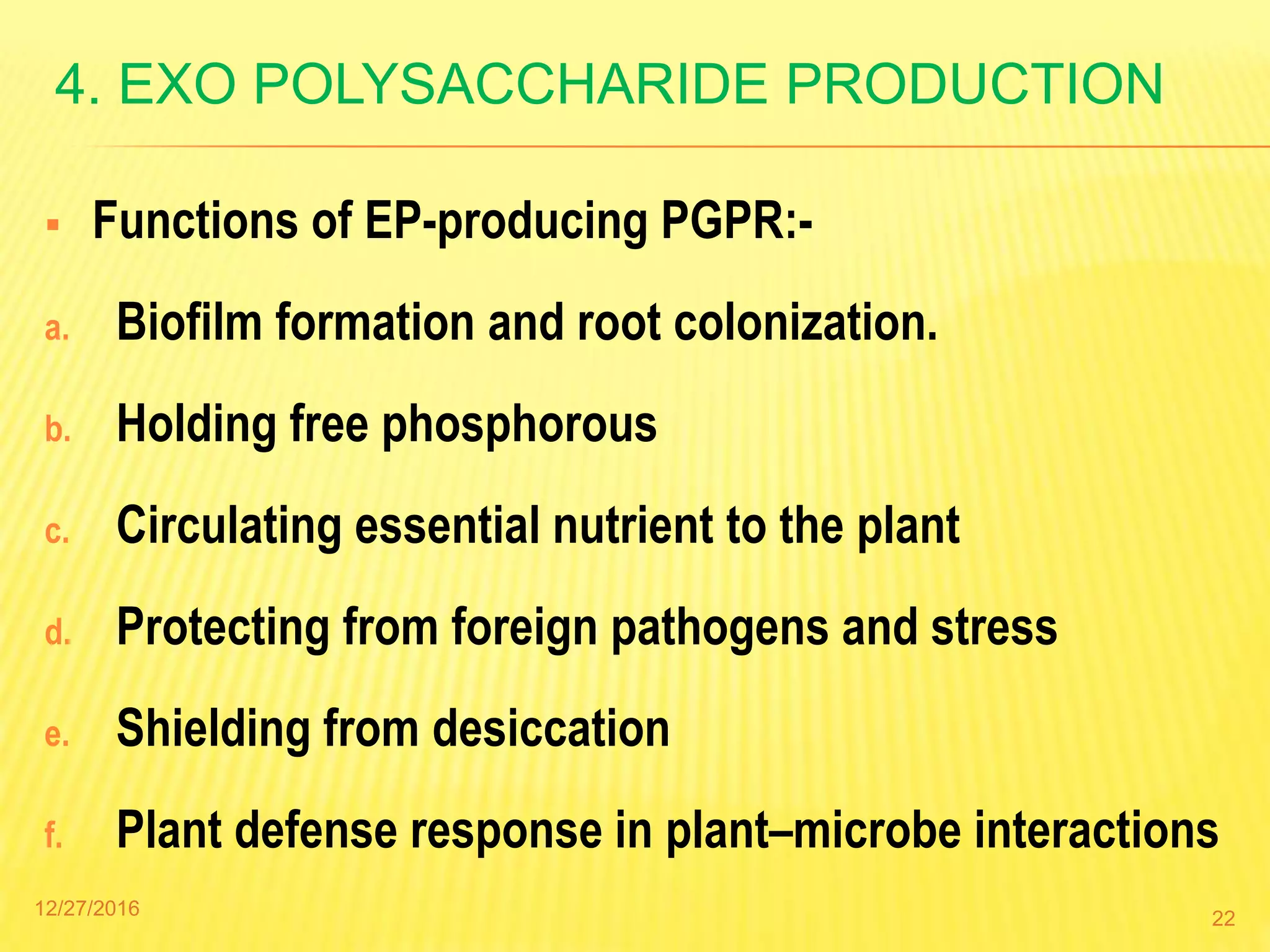 PGPR & its importance in agriculture | PPTX