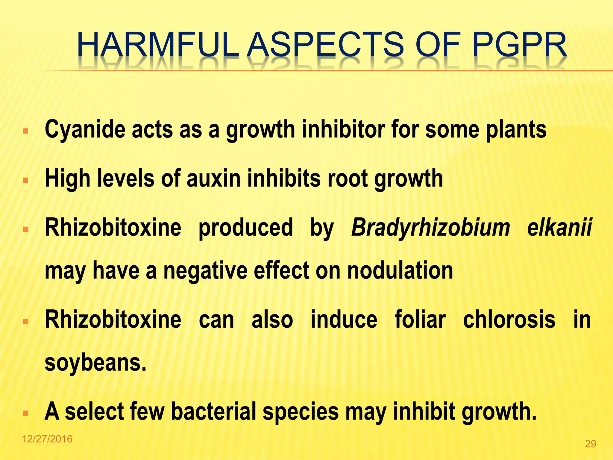 PGPR & its importance in agriculture | PPTX