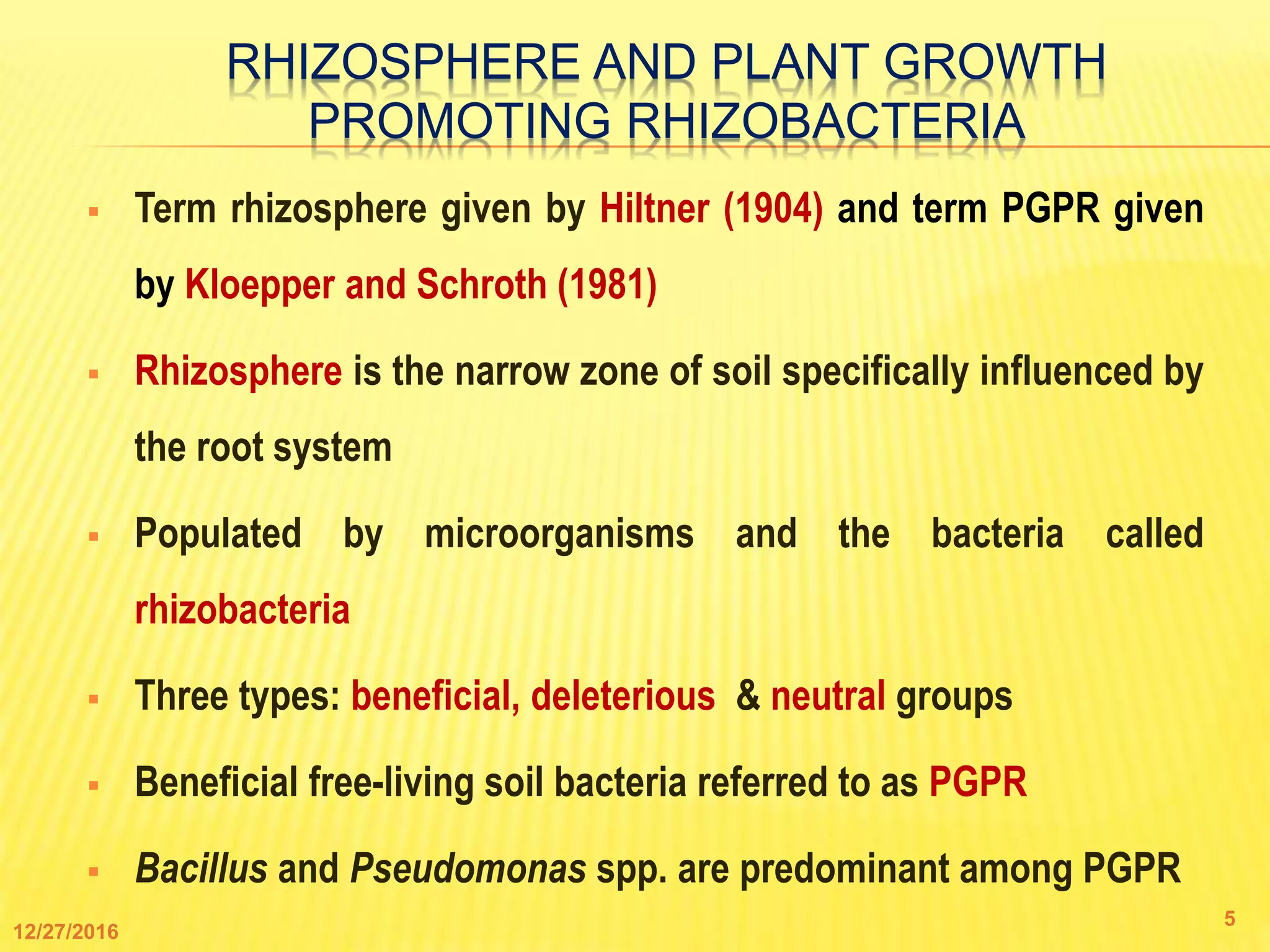 PGPR & its importance in agriculture | PPTX