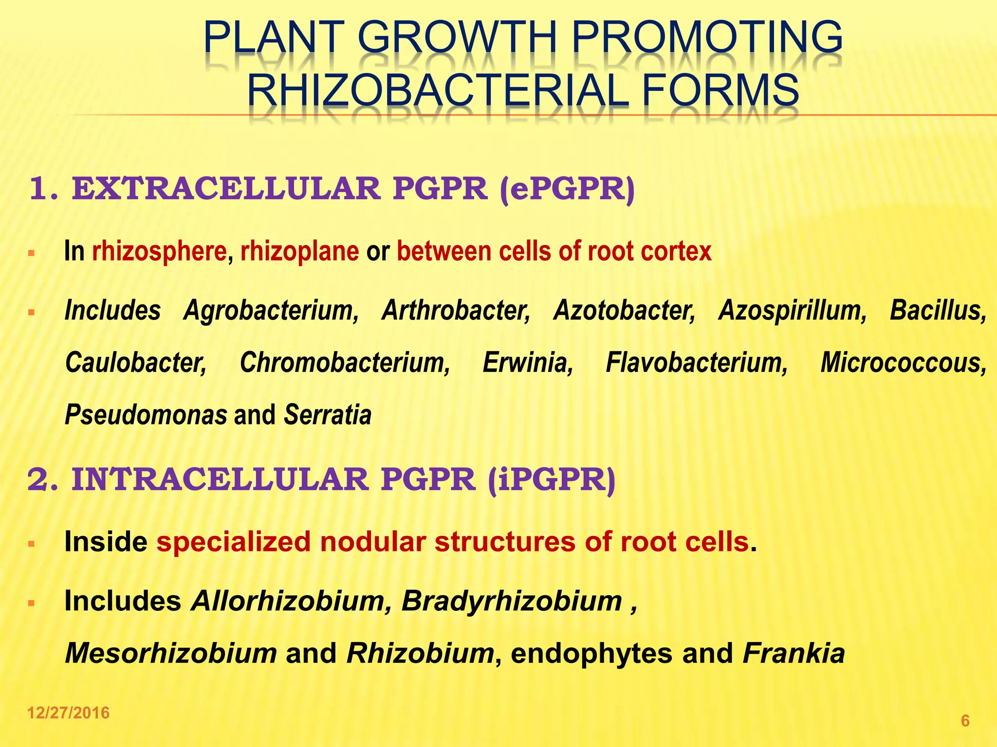 PGPR & its importance in agriculture | PPTX