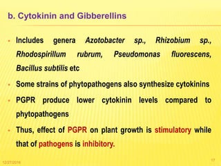 PGPR & its importance in agriculture | PPT