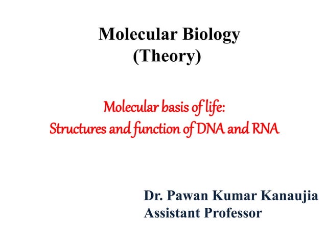 Molecular basis of life: Structures and function of DNA and RNA | PPTX