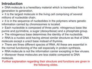 Molecular basis of life: Structures and function of DNA and RNA | PPTX