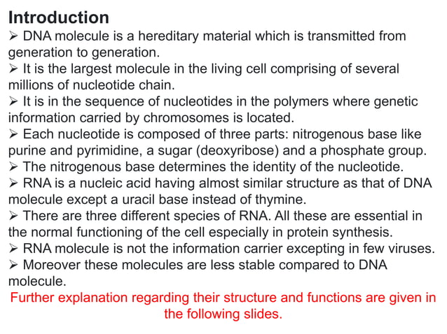 Molecular basis of life: Structures and function of DNA and RNA | PPTX