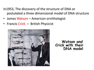 Molecular basis of life: Structures and function of DNA and RNA | PPTX