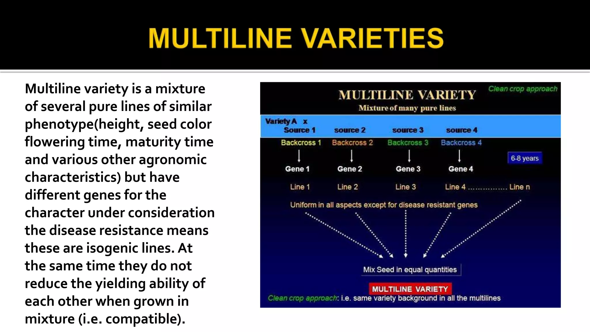 Single seed descent and multilines varieties ppt | PPTX