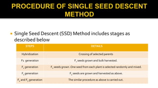 Single seed descent and multilines varieties ppt | PPTX