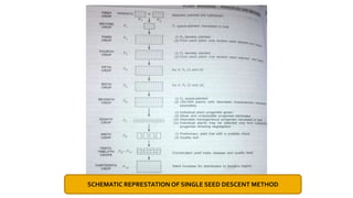 Single seed descent and multilines varieties ppt | PPTX