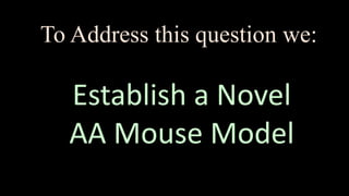 SSEA-Positive Myeloid Cells are Involved in Hair Loss in the Alopecia ...