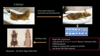 SSEA-Positive Myeloid Cells are Involved in Hair Loss in the Alopecia ...