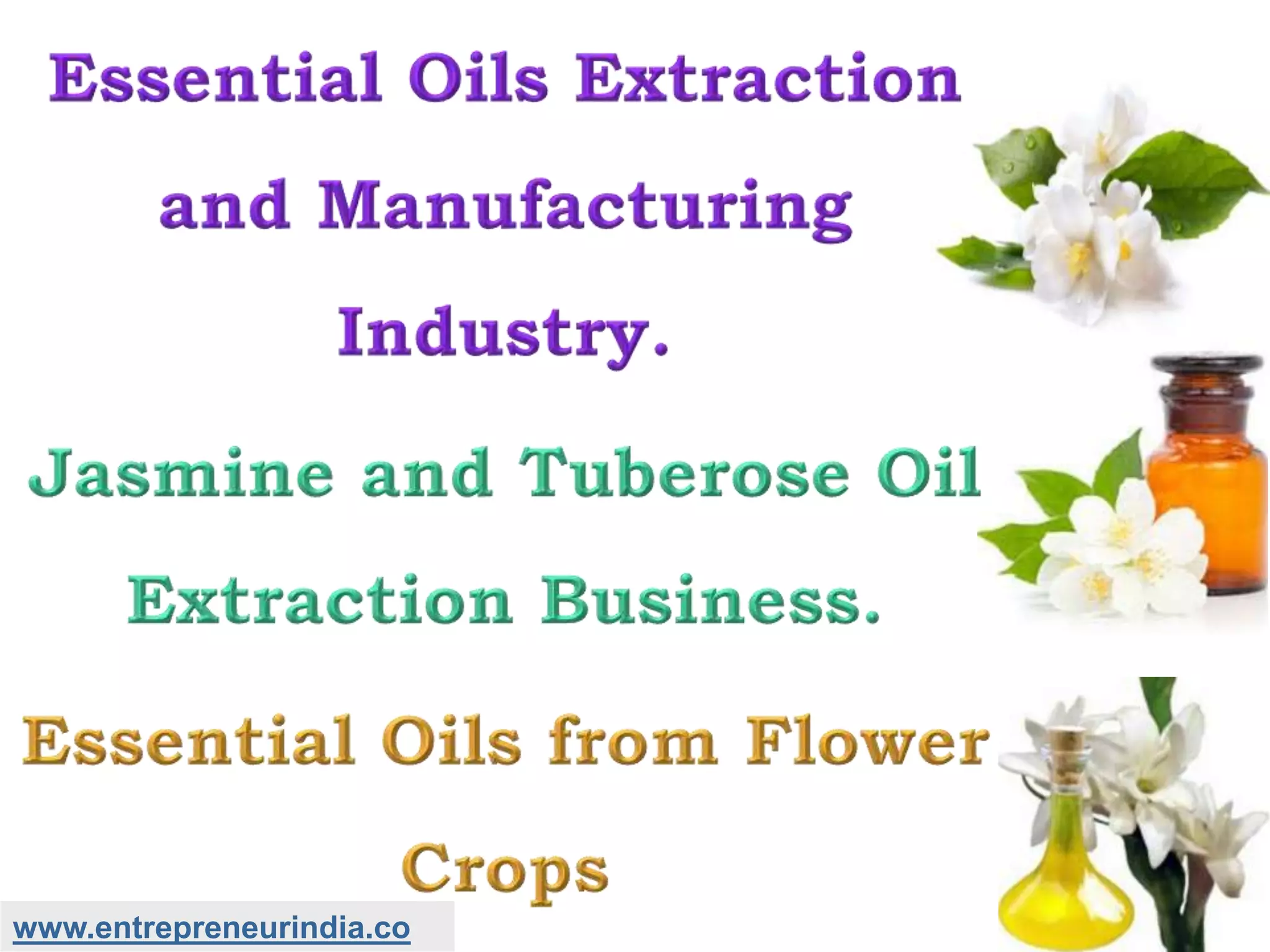 Essential Oils Extraction and Manufacturing Industry | PPTX