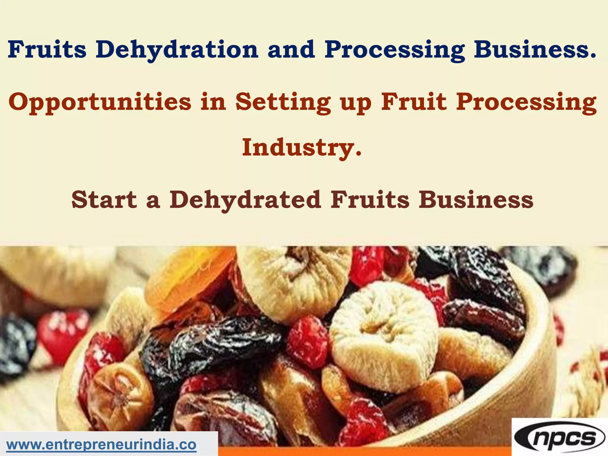 Fruits Dehydration and Processing Business | PPTX