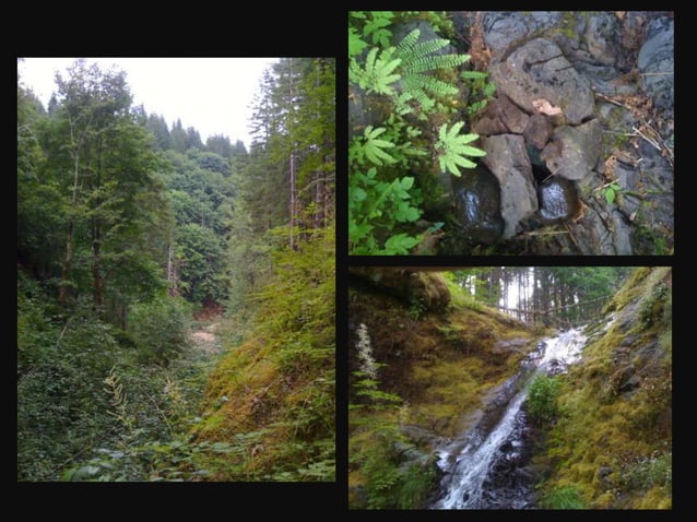 SSG Black Land Nav | PPTX