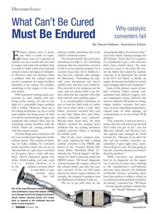 What Can't Be Cured Cannot Be Endured? (Nov. '09, SSGM) | PDF