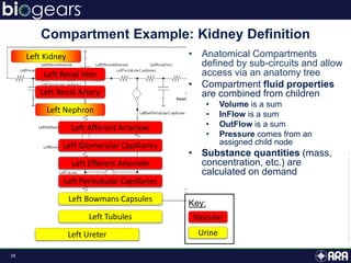 BioGears Overview for SSIH Healthcare Systems Modeling & Simulation ...