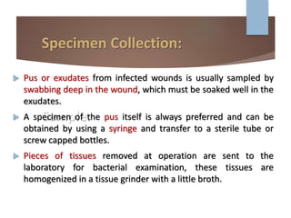 Surgical Site infections | PPTX