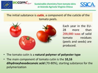 Sustainable chemistry from tomato skins | PPT