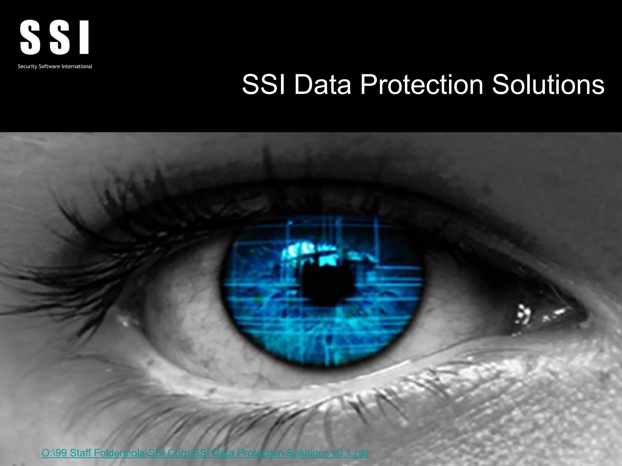 Ssi Data Protection Solutions V0.2 | PDF | Technology Industry | Industries