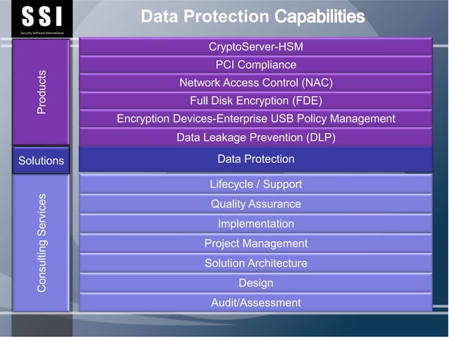 Ssi Data Protection Solutions V0.2 | PDF | Technology Industry | Industries