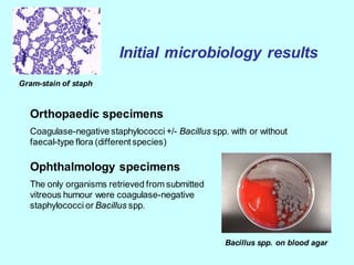 Ssi outbreak 2009 (4) | PDF