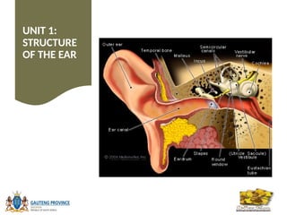 PPT Life Sciences Grade 12 Module 4 The Ear.pptx