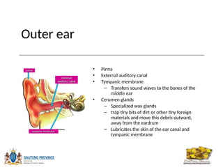 PPT Life Sciences Grade 12 Module 4 The Ear.pptx