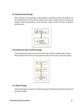 A-Project Report- SSIS | PDF