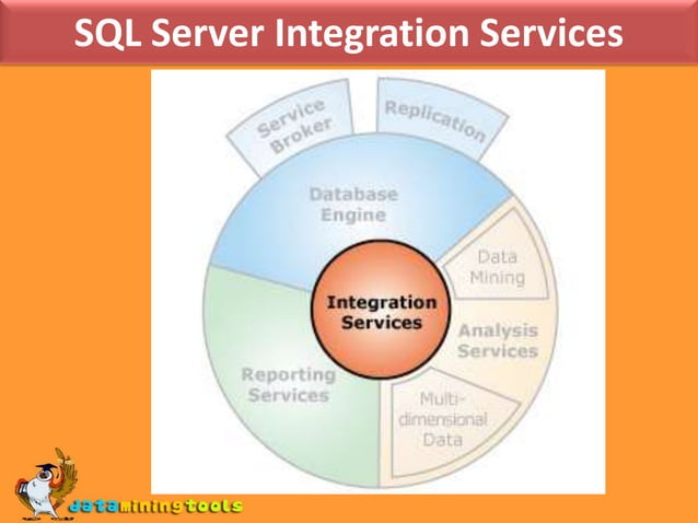 MS SQL SERVER: SSIS and data mining | PPTX