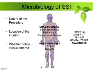 introduction of surgical site infections | PPTX