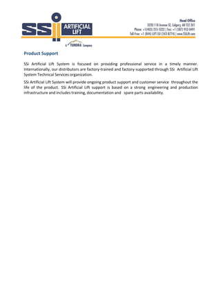 Ssi tech introduction | PDF