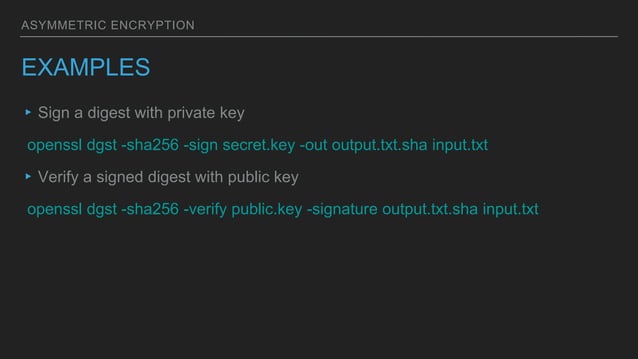 SSL Primer | PPTX | Internet | Computing