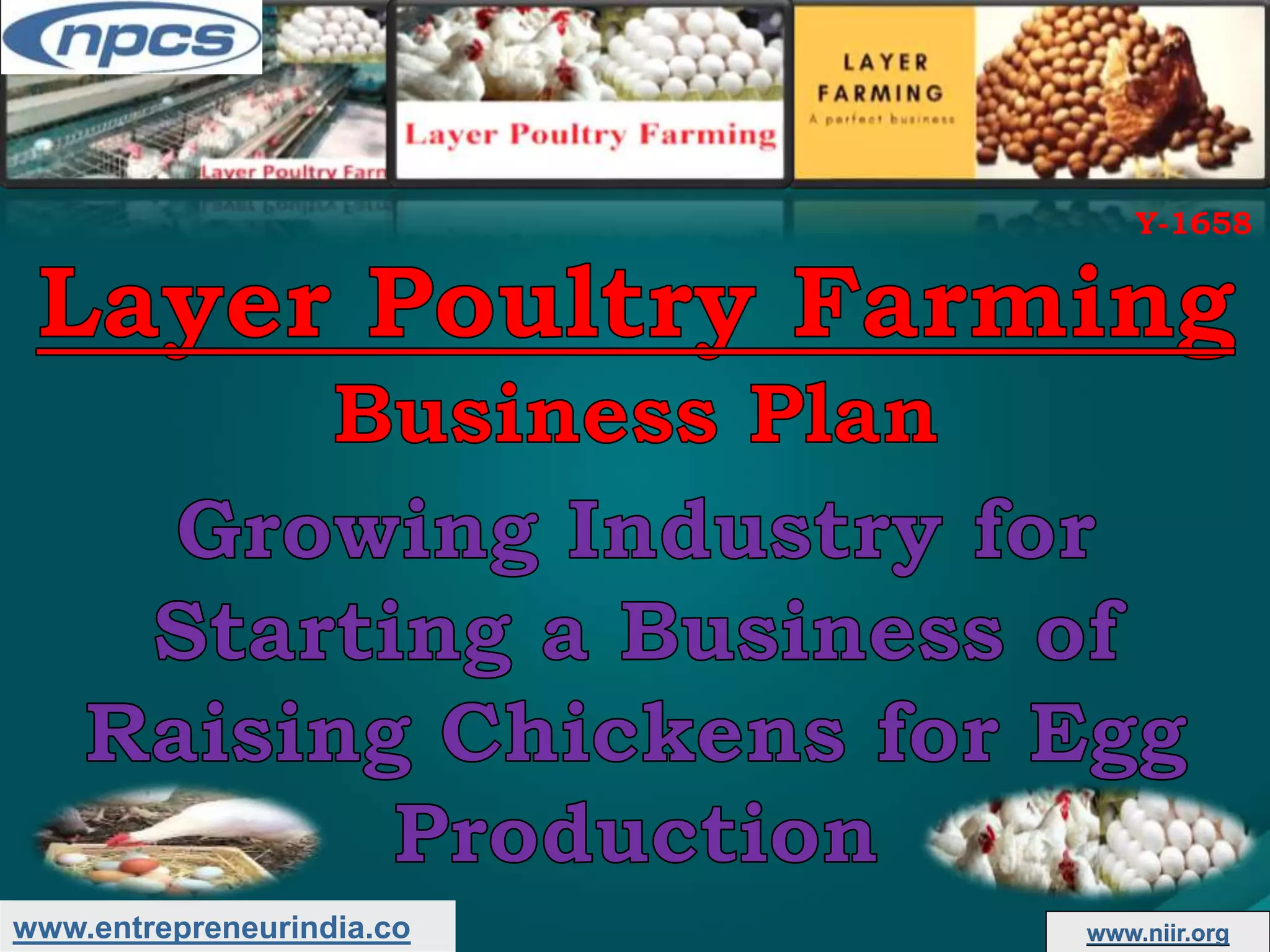 Layer Poultry Farming Business Plan. | PPTX