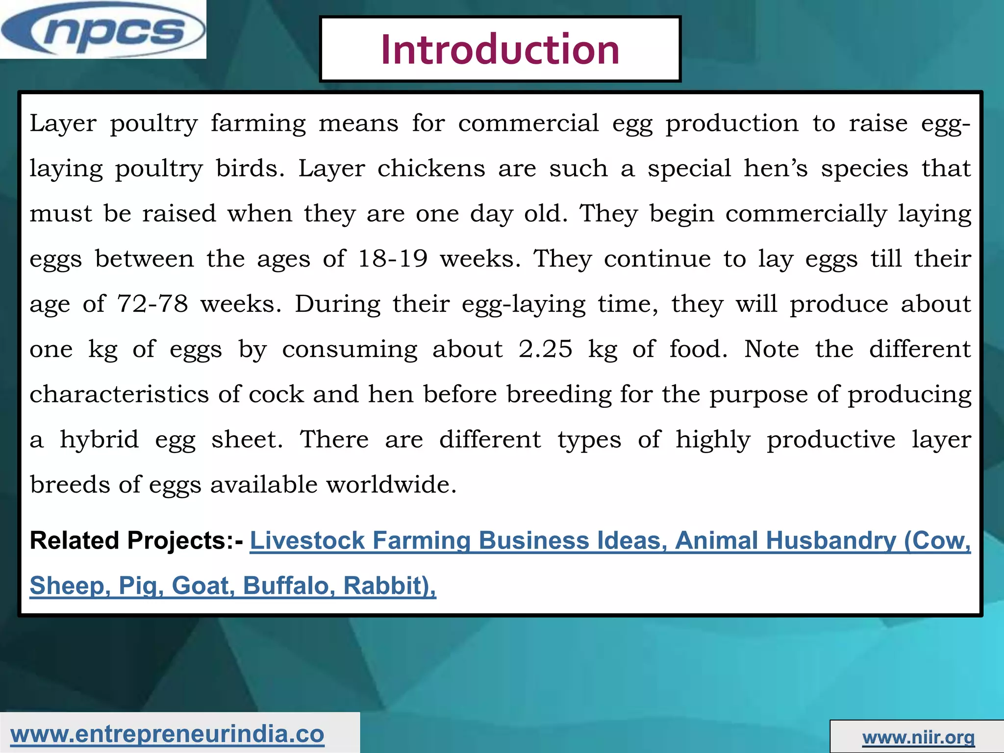 Layer Poultry Farming Business Plan. | PPTX