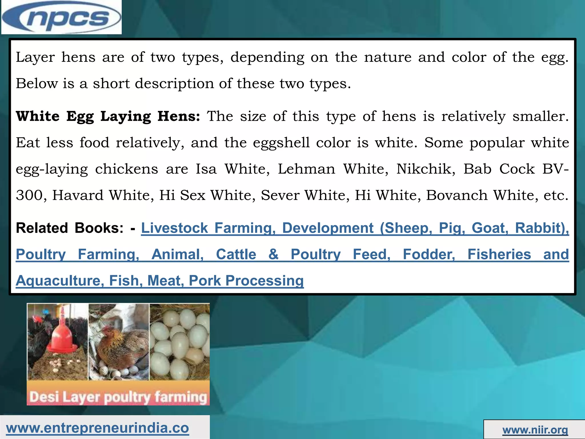 Layer Poultry Farming Business Plan. | PPTX