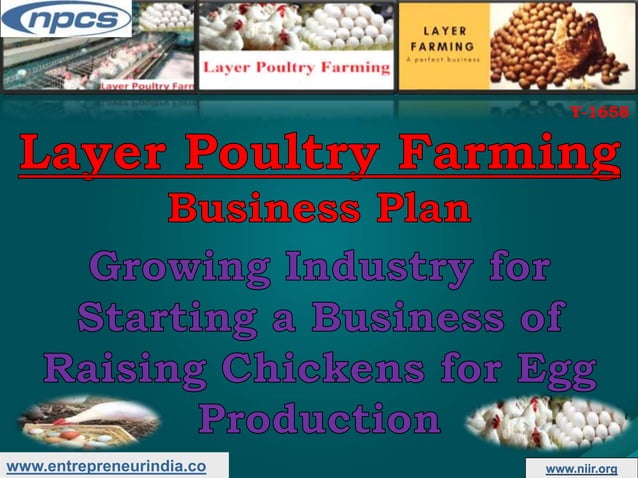 Layer Poultry Farming Business Plan. | PPTX