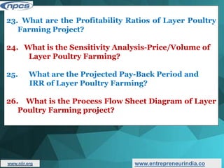 Layer Poultry Farming Business Plan. | PPTX