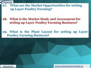 Layer Poultry Farming Business Plan. | PPTX