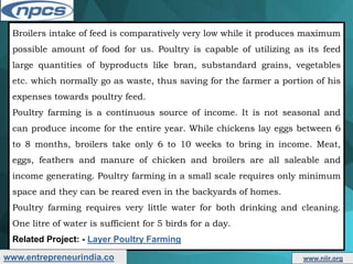 Layer Poultry Farming Business Plan. | PPTX