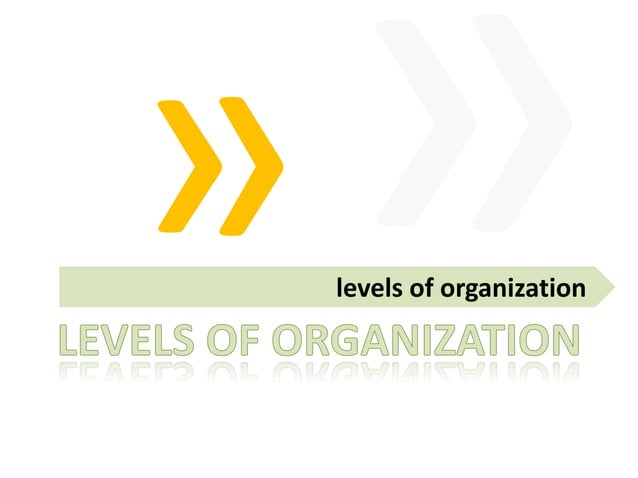 Ss lesson levels of organization | PPTX