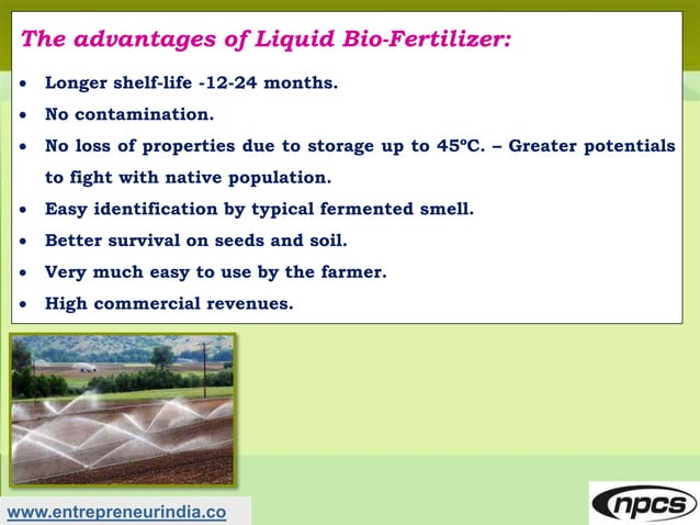 Liquid Biofertilizer Manufacturing Industry | PPTX | Agriculture ...